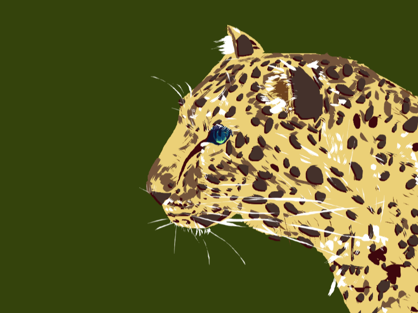 套索画照片_PMYZOOO-站酷ZCOOL