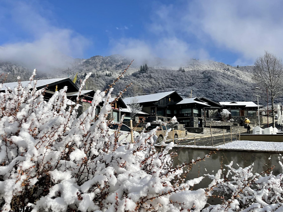 MUSE金奖获奖作品——有美隐宿_壹点设计咨询-站酷ZCOOL