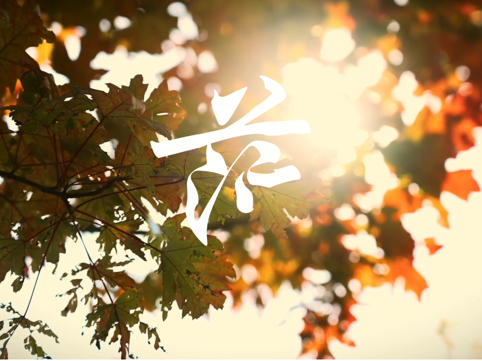 《茫》mv_Z987598388-站酷ZCOOL