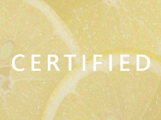 CERTIFIED FRESH 」（已发布）_ConyCony-站酷ZCOOL