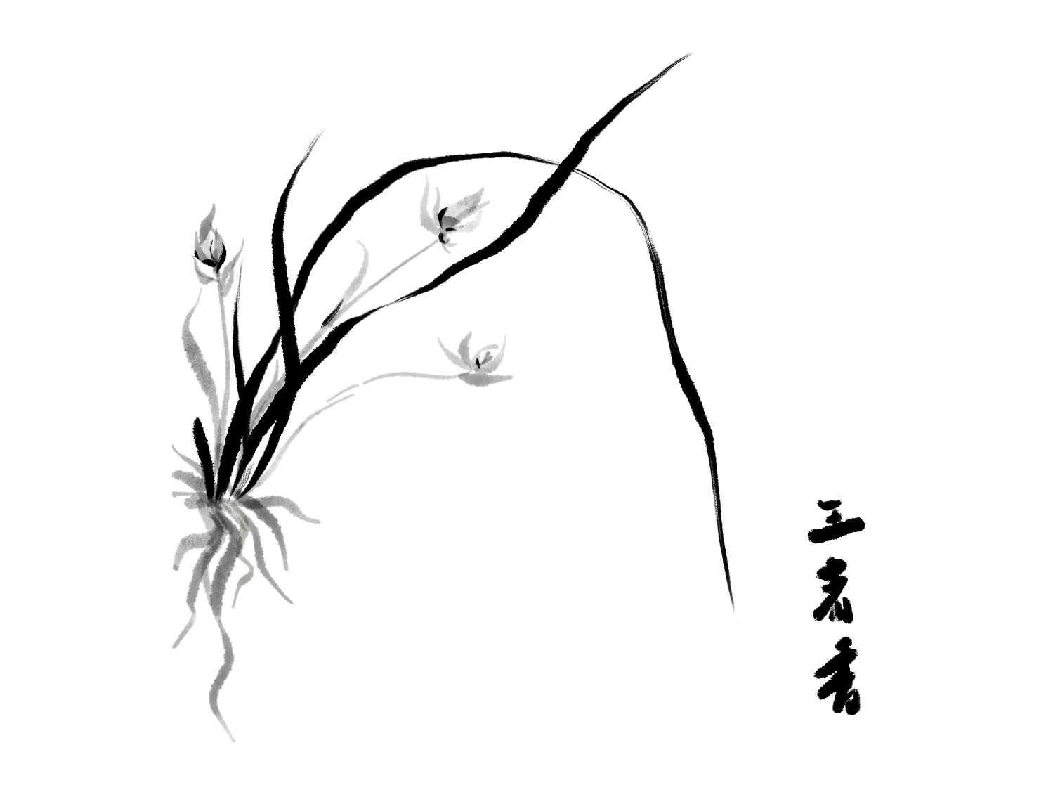 兰-王者香_小田本田-站酷ZCOOL