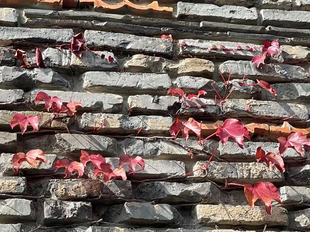 秋韵_空空如也123-站酷ZCOOL