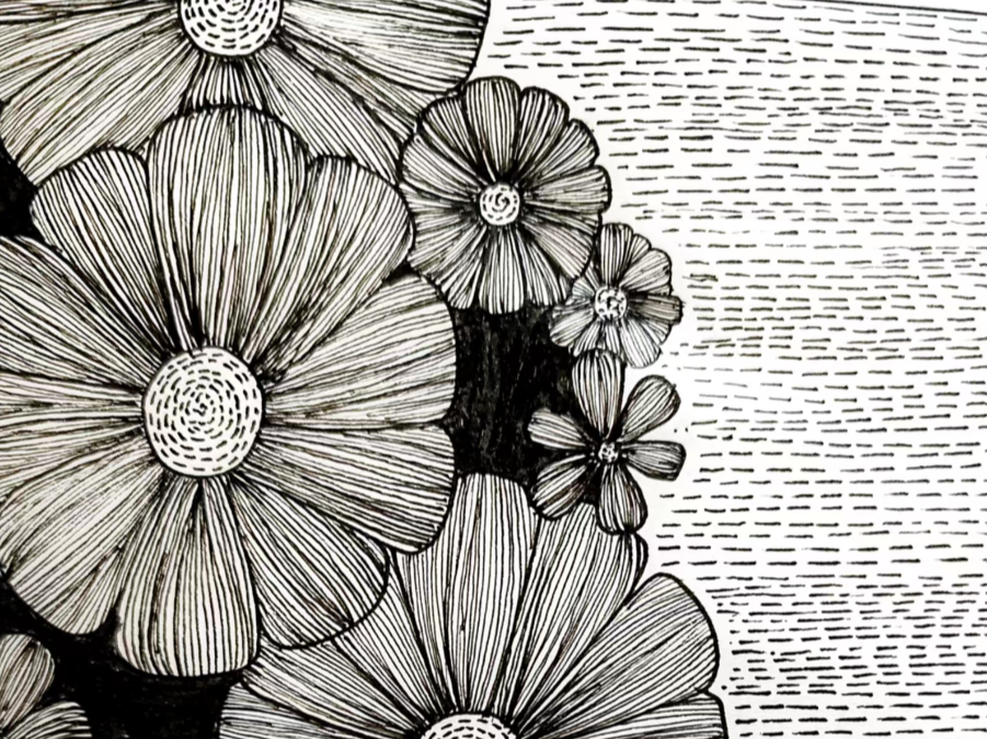 【32】_FA_鸽子铺-站酷ZCOOL