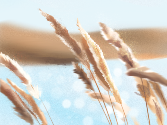 速涂2_蚕豆子NINI-站酷ZCOOL