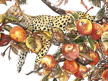 《醉秋实》之二_赵娜Artist-站酷ZCOOL