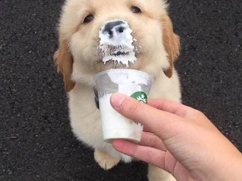 dwadwadawawd_Z969609487-站酷ZCOOL