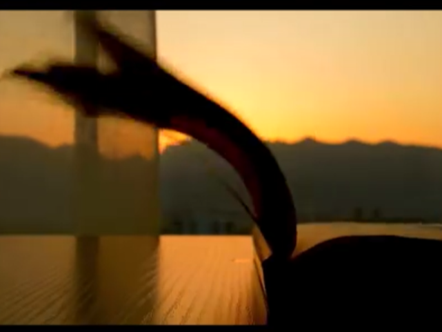 在书里 你总能找到属于自己的一隅天地 _大音配音O1组-站酷ZCOOL