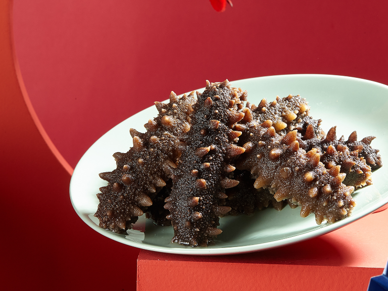 即食海参_姜妹-站酷ZCOOL