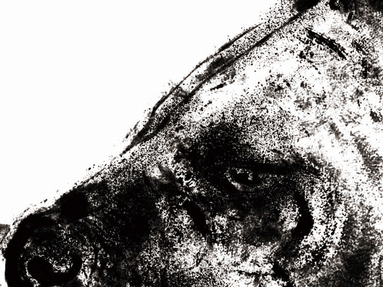 鬣狗_Devilcat-站酷ZCOOL