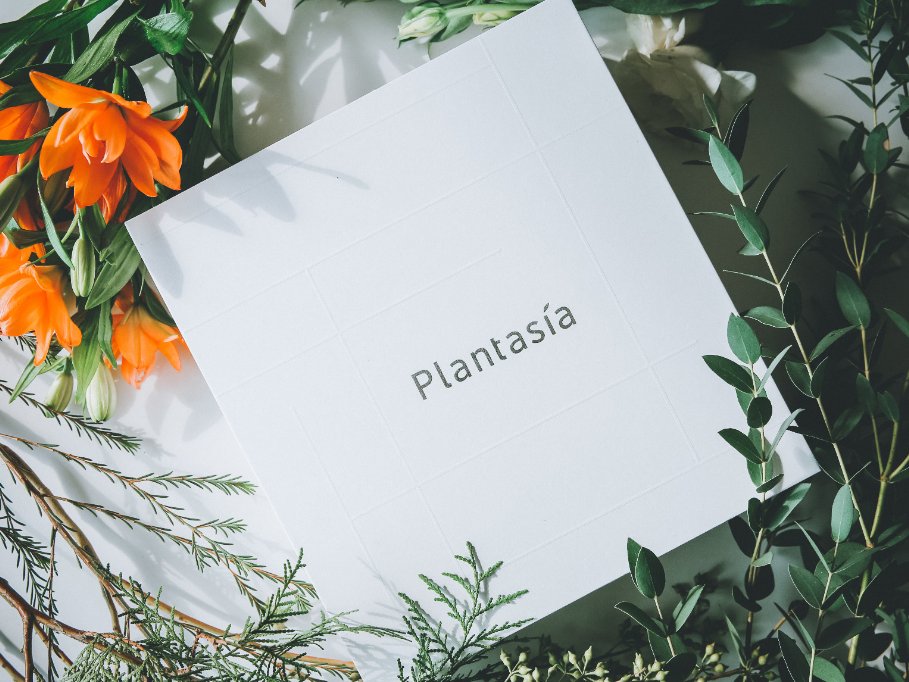 Plantasia 植圆_loofdesign-站酷ZCOOL