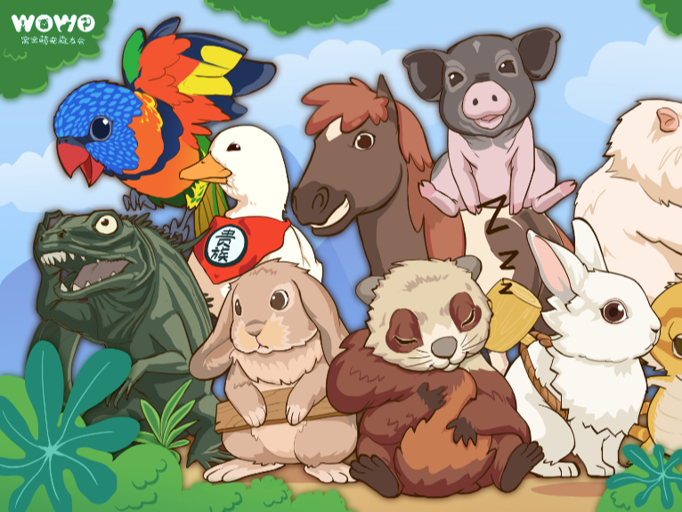 窝窝萌宠IP创作PART2_秋官josh-站酷ZCOOL