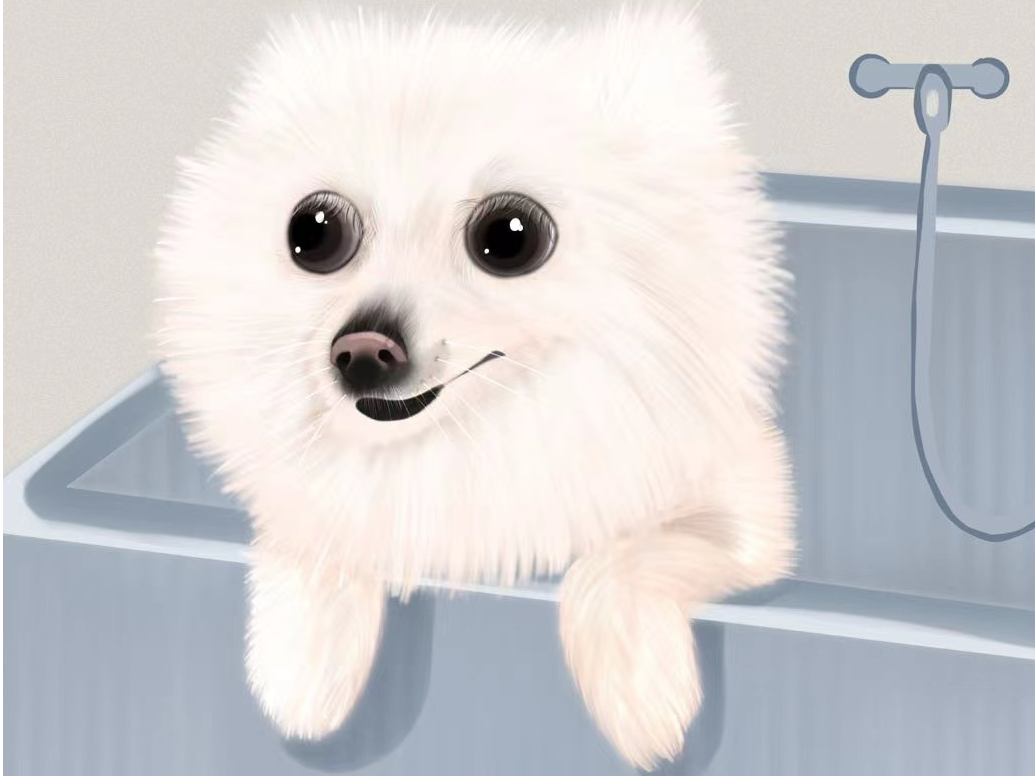 萌宠宠物系列_shuangxyz-站酷ZCOOL