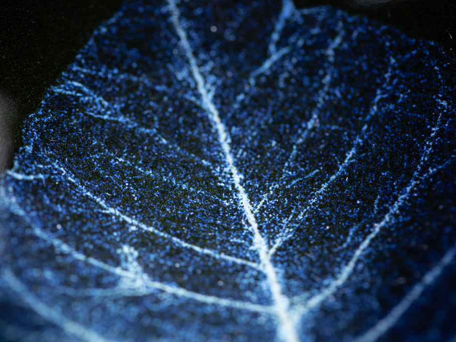 冰蓝木叶盏-产品摄影_XuHJASON-站酷ZCOOL