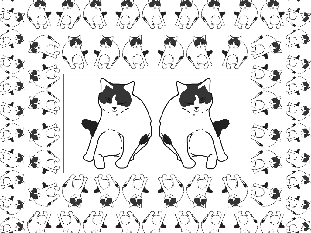 猫咪动作百解 第一弹twelve大王 站酷zcool