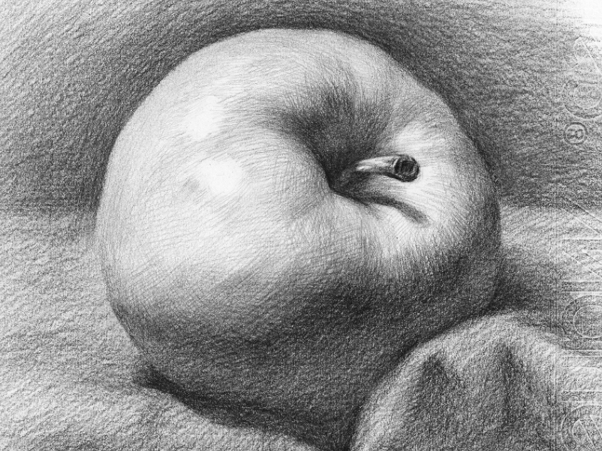 素描苹果绘画_星亮绘画art-站酷ZCOOL