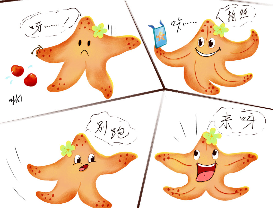 一组小插画 海星_暖心张淼workroom-站酷ZCOOL