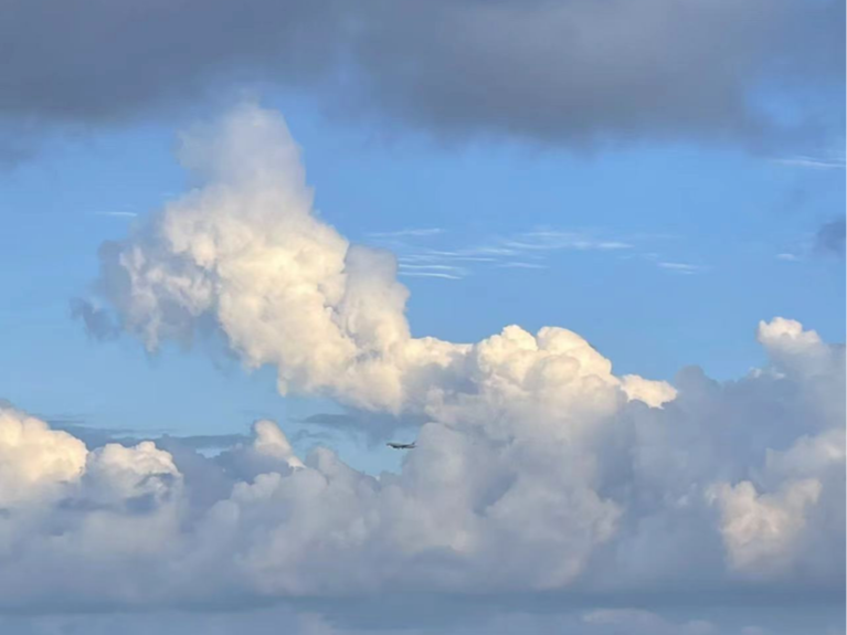 身处阴霾，依然策马奔腾！_一颗柠檬万-站酷ZCOOL