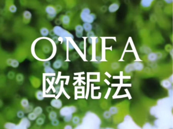 欧馜法_啾啾127-站酷ZCOOL