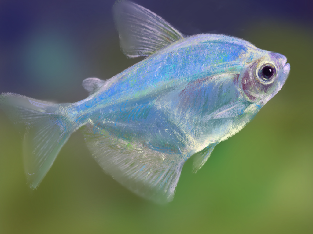 彩鳞_Lyon久风-站酷ZCOOL