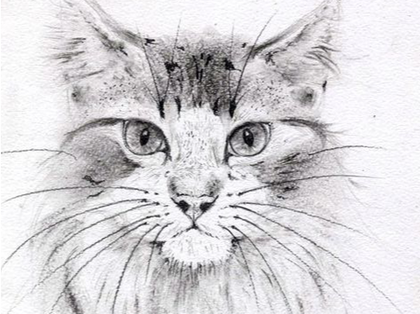 原创设计以及插画_鸡蛋灌饼520-站酷ZCOOL