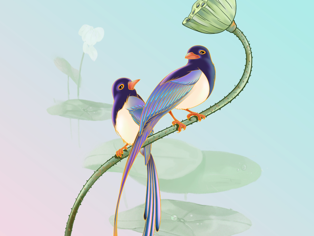 国风花鸟插画_筱妮儿-站酷ZCOOL