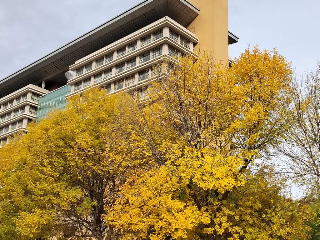 校园风光_wink鸡翅-站酷ZCOOL