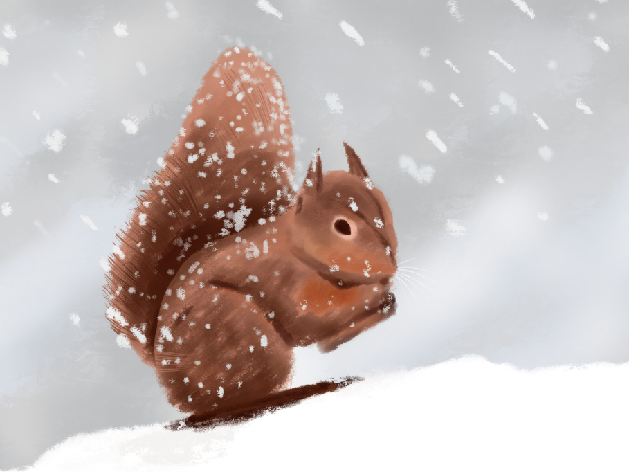 雪地小松鼠_沐下树-站酷ZCOOL