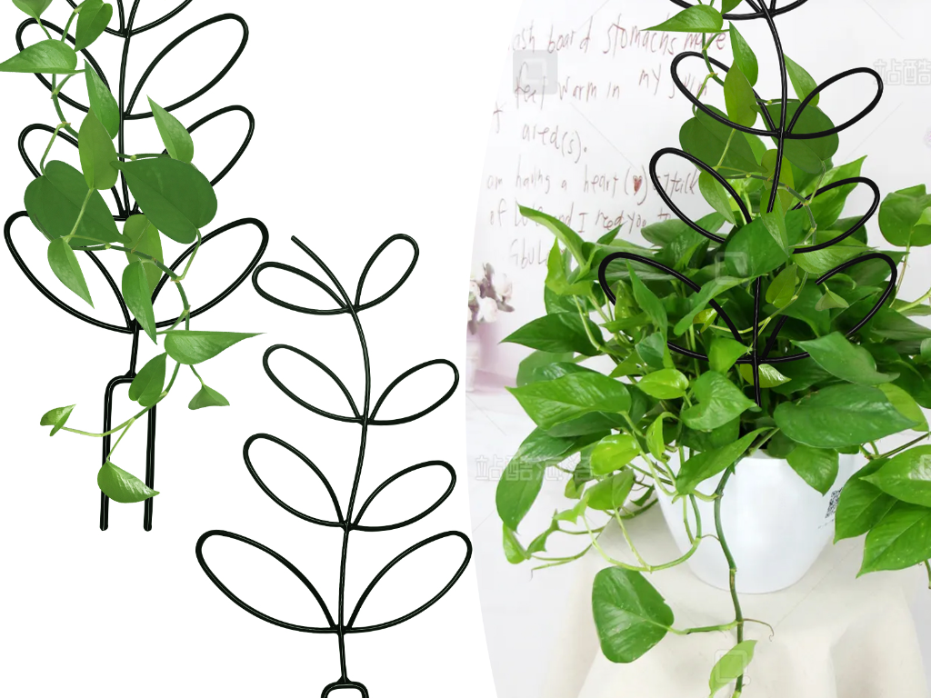 亚马逊主图_明月时-站酷ZCOOL