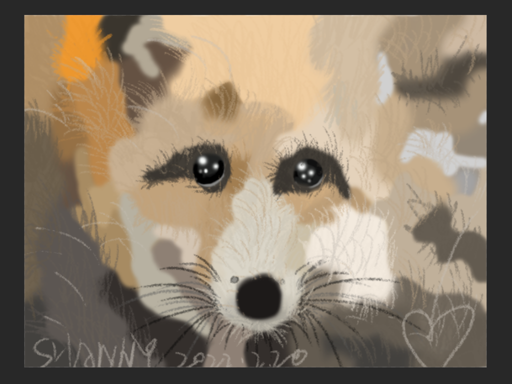 一只dog_Shanny_me-站酷ZCOOL