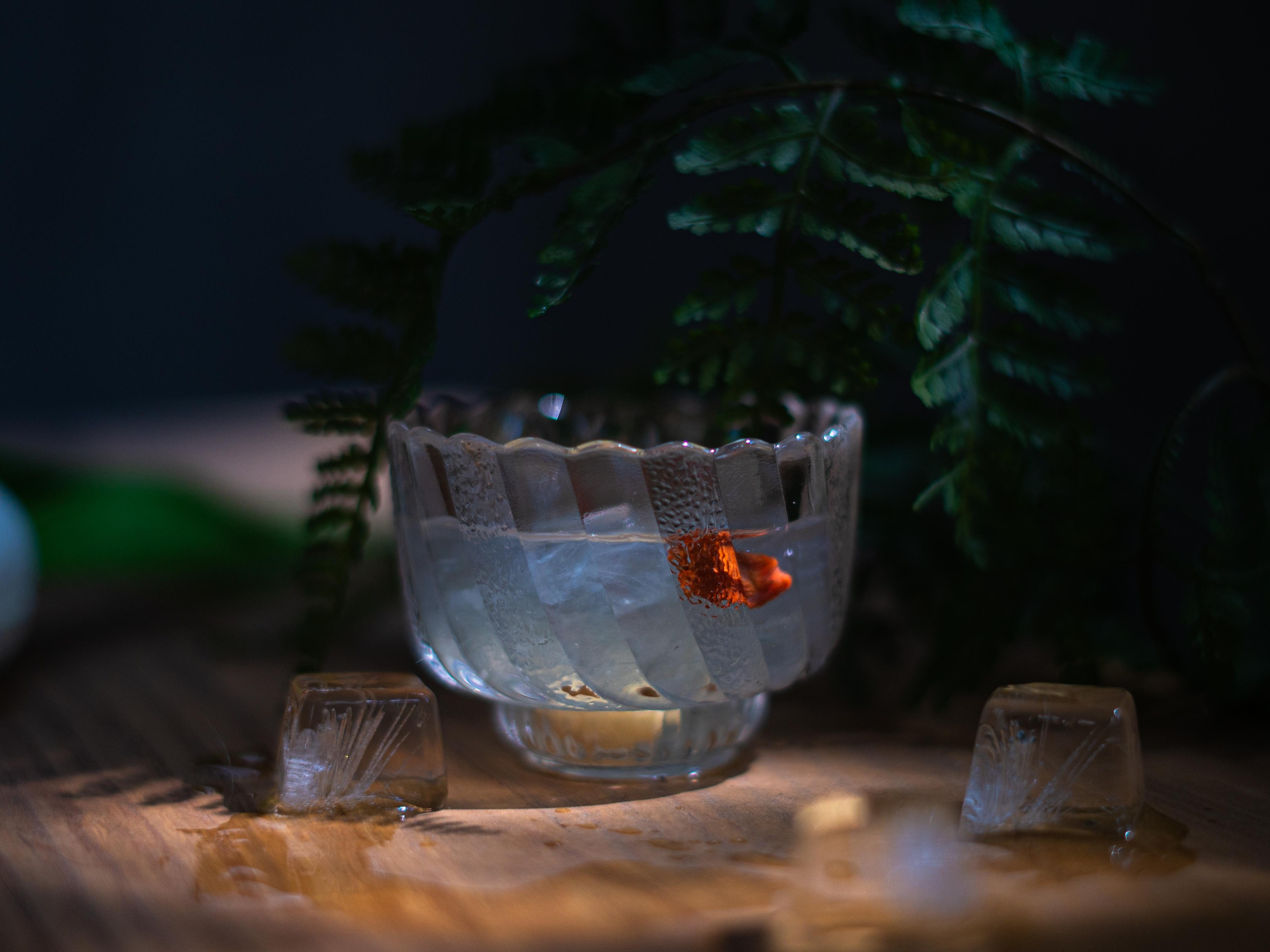 产品拍摄_汝安Ryan-站酷ZCOOL