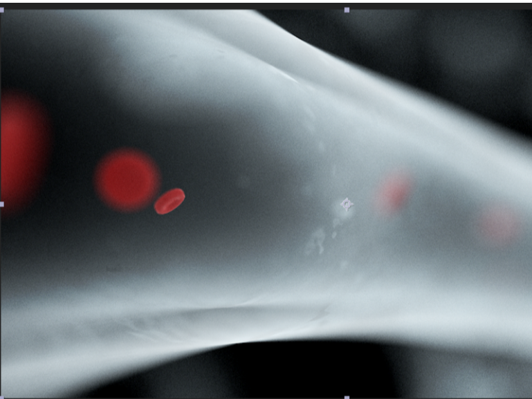 血管_Kavin_D-站酷ZCOOL