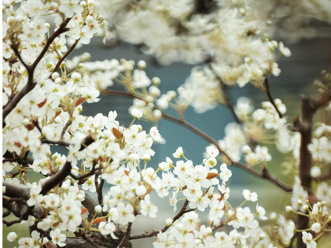 终于等到你_pear1103-站酷ZCOOL