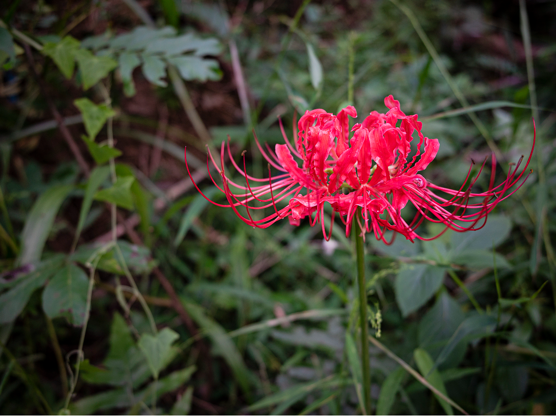 #我在站酷用摄影为祖国母亲庆生#记录家乡I_JUAN喵-站酷ZCOOL