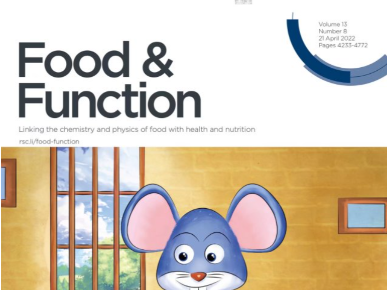 FOOD & Function期刊封面图_scihua-站酷ZCOOL