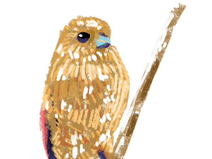 感受冬日暖阳D2_Jolie丛小姐-站酷ZCOOL