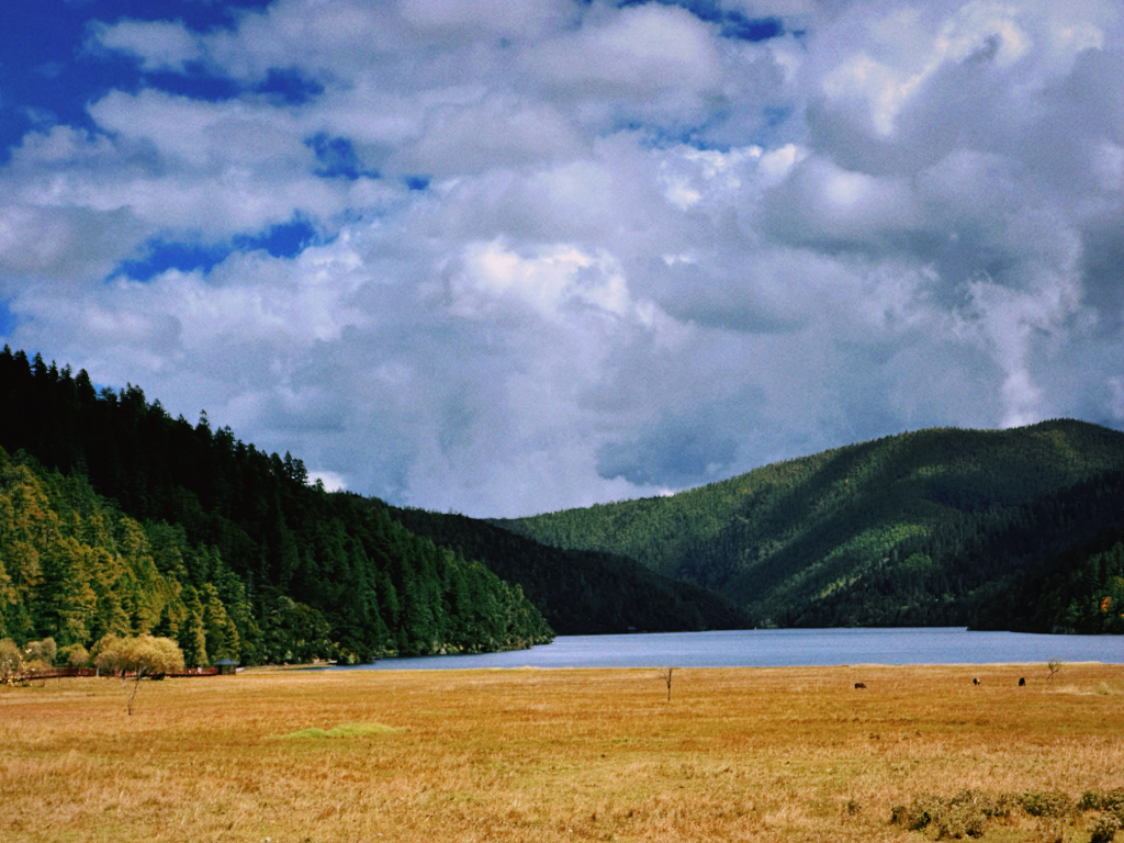 一个人的旅行——云南 D2_长着熊猫眼的大熊-站酷ZCOOL