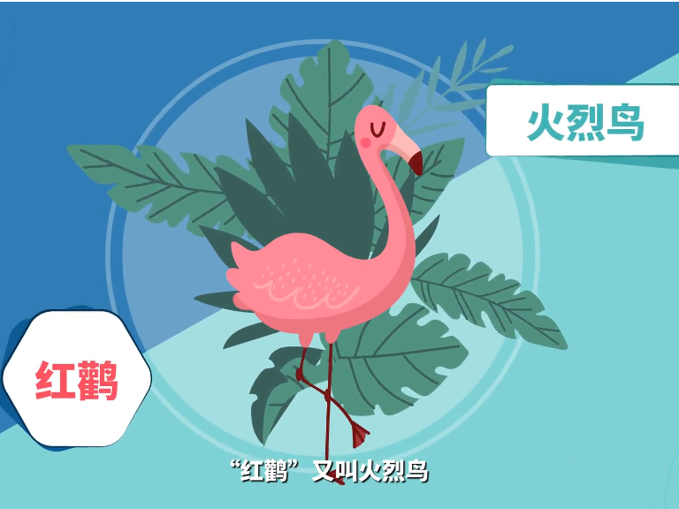 红鹳教育MG宣传片_优尔美文化-站酷ZCOOL