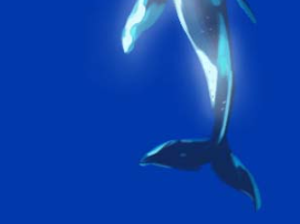 打卡13_六凌Aray-站酷ZCOOL