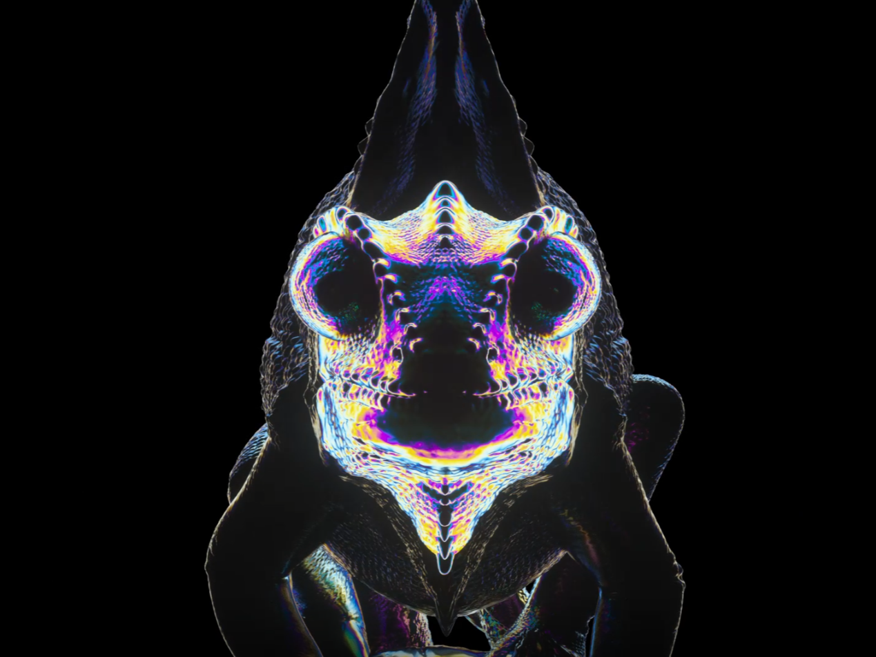 C4D飞镖产品动画-180变色龙飞镖_JerryZCJ-站酷ZCOOL