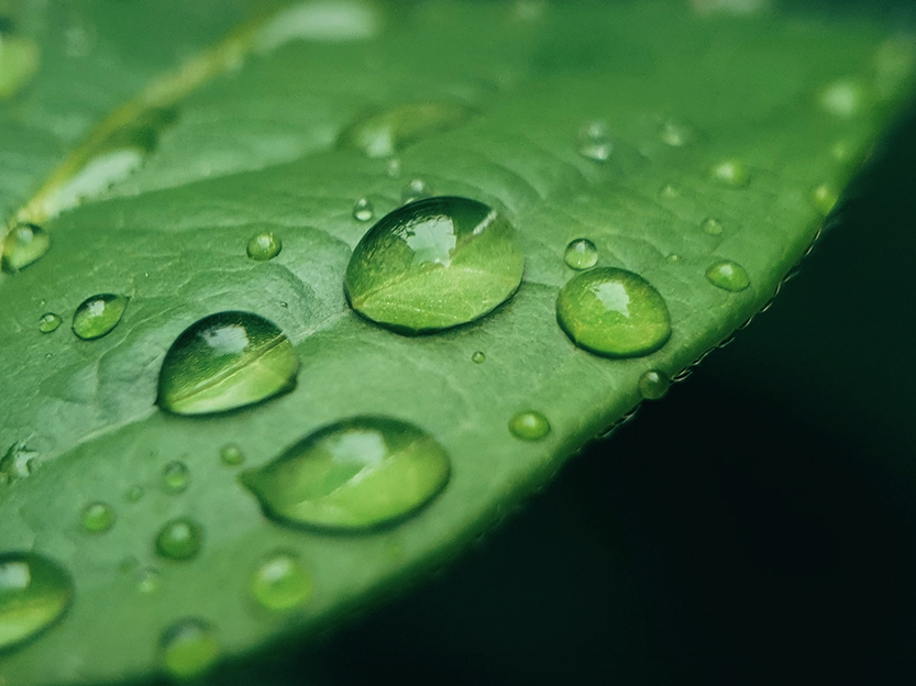 节气节日海报_JIAN键-站酷ZCOOL