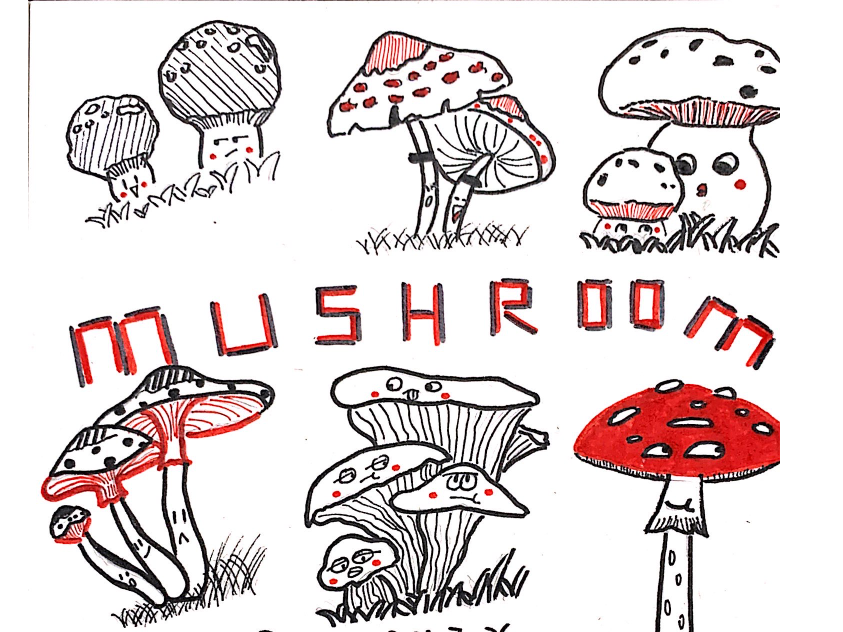 蘑菇大联盟_Ronachen-站酷ZCOOL