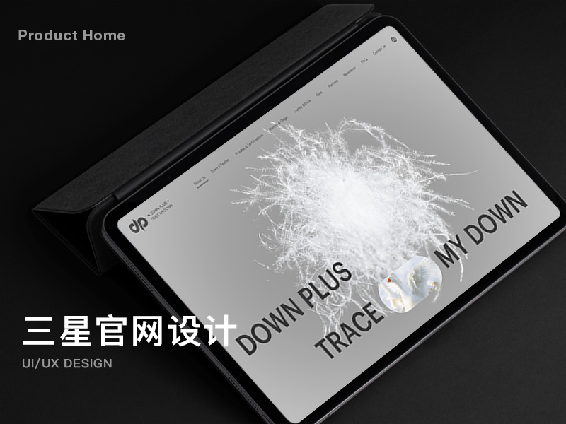 品牌官网设计_sky_lv-站酷ZCOOL