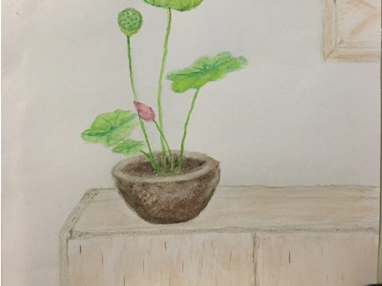 荷_王北北WANGBEIBEI-站酷ZCOOL