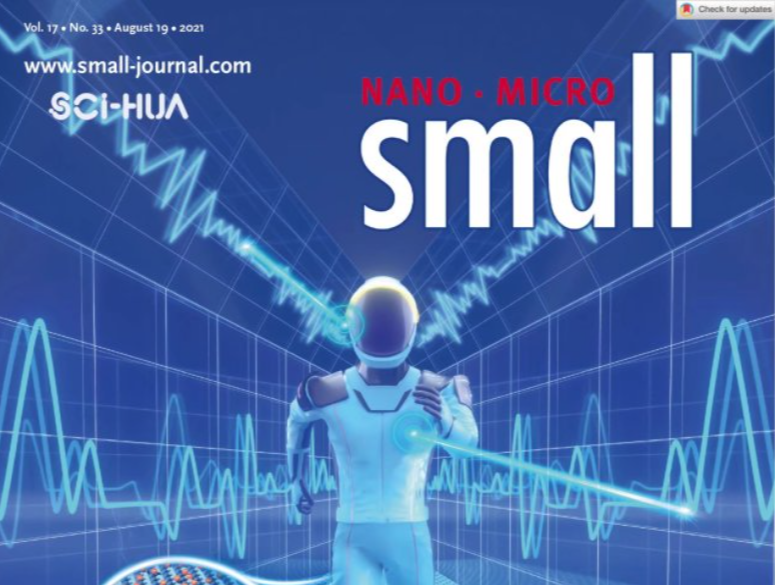 Small期刊封面图_scihua-站酷ZCOOL