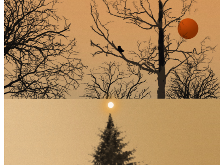 秋树_夏木sun-站酷ZCOOL