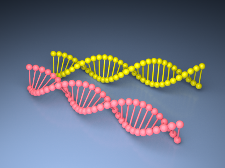 Sci科研制图 | 如何用3ds Max晶格工具轻松绘制DNA链_科学颜习社-站酷ZCOOL