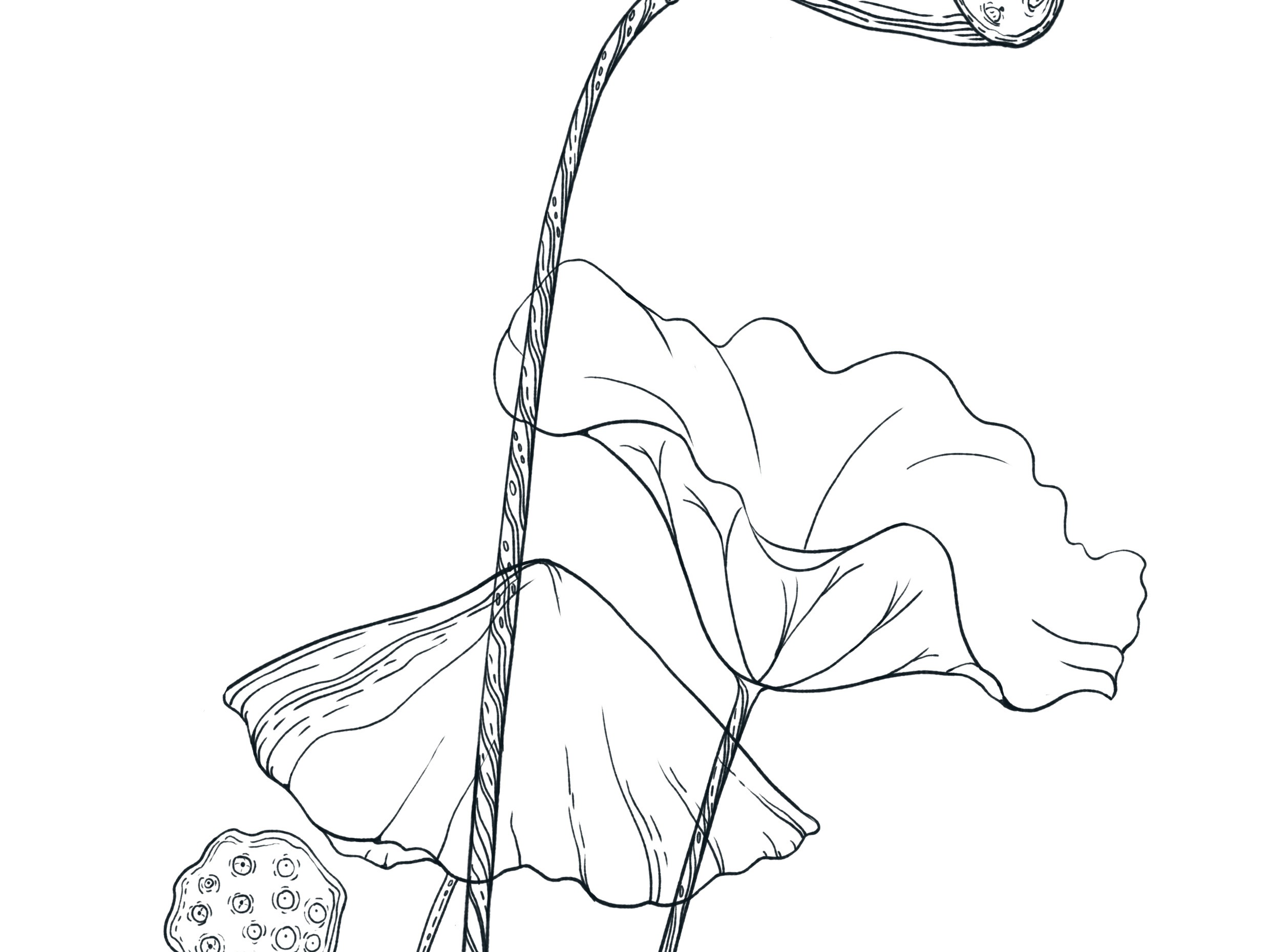 1_Melody露-站酷ZCOOL