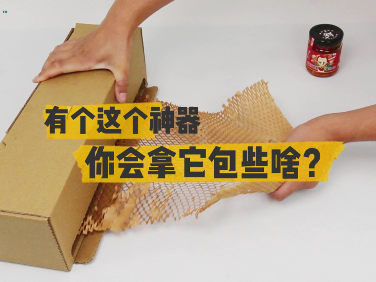 蜂窝纸短视频_Gina张大喵-站酷ZCOOL