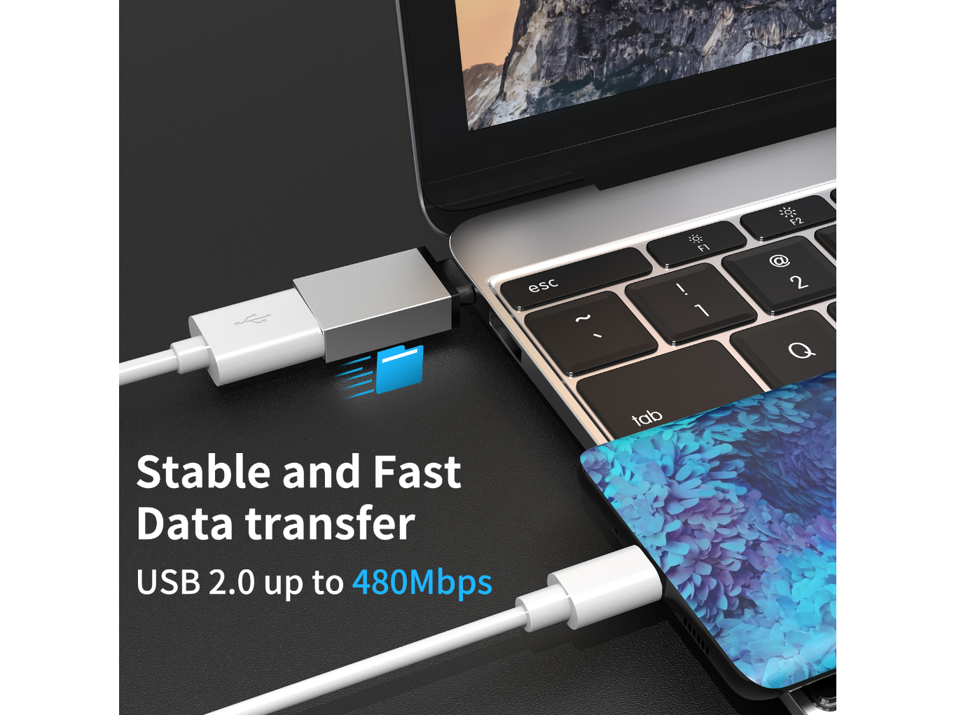 亚马逊作品集_啊宏-站酷ZCOOL