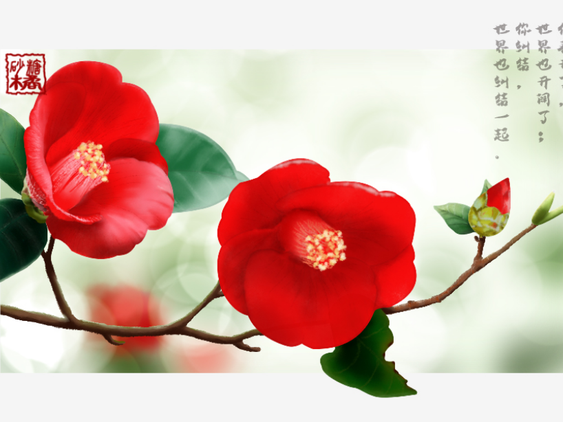 红山茶花_砂糖橘JUJU-站酷ZCOOL